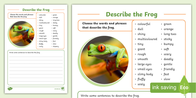 Describe the Frog Writing Activity Sheet,frog (teacher made)