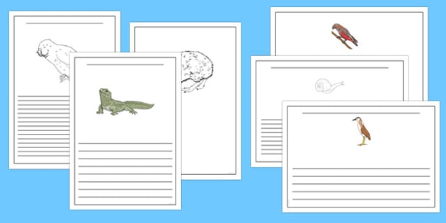 New Zealand Animals Writing Frames