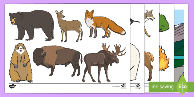 Canadian Animals Stick Puppets (teacher made)