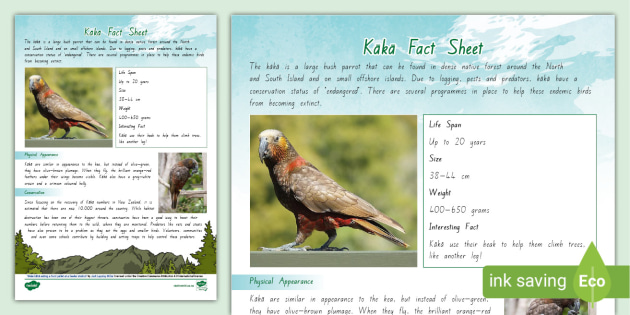 Kākā Fact Sheet