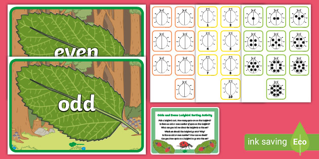 👉 Odds and Evens Ladybird Sorting Activity (teacher made)