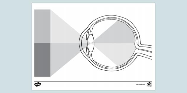 FREE! - Image Turned Around In Eye Colouring | Colouring Sheets