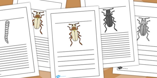 Darkling Beetle Life Cycle Writing Frames Standard Lined BW