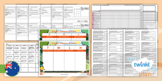Year 1 Science Features of Plants Things Assessment Pack