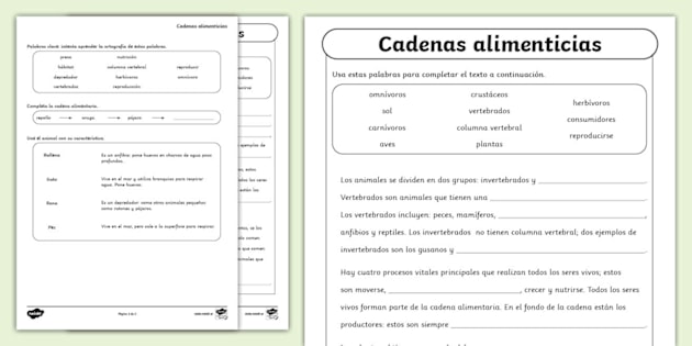 Hoja De Trabajo De Cadena De Palabras