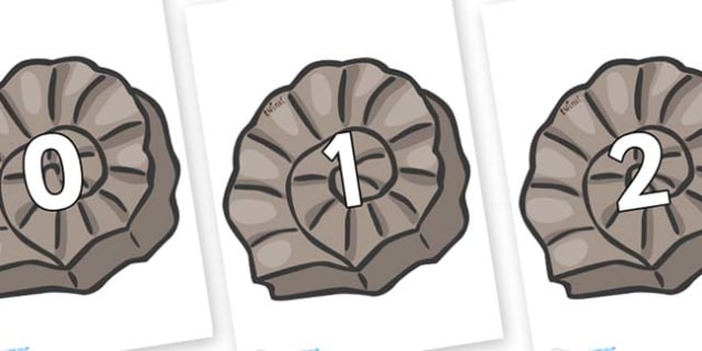 Numbers 0-31 on Fossils (teacher made)