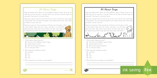 Second Grade All About Dogs Reading Passage Comprehension Activity