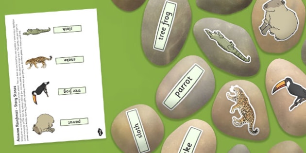 Amazon Rainforest Themed Story Stone Image Cut Outs