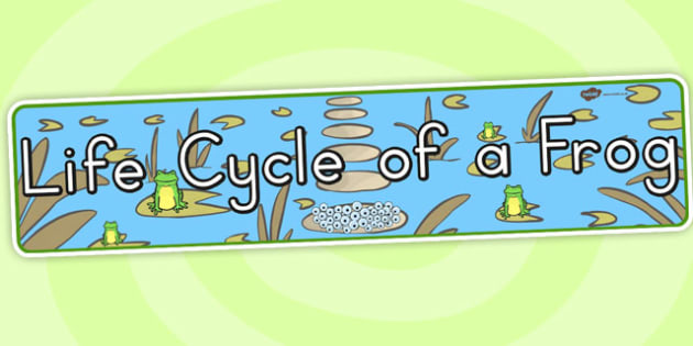 FREE! - Life Cycle of a Frog Display Banner (teacher made)