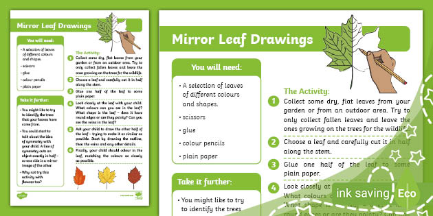 Mirror Leaf Drawings (teacher made)