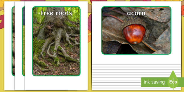 Little Acorns Photo Pack