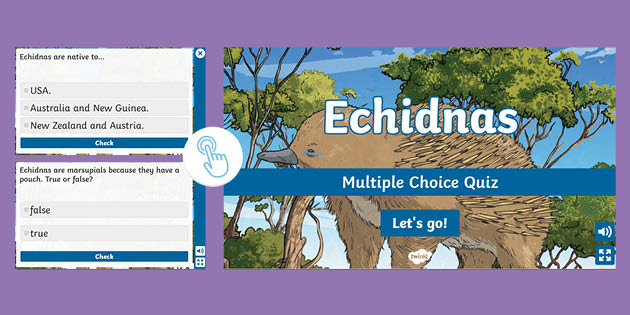 Echidnas Multiple-Choice Quiz (teacher made)