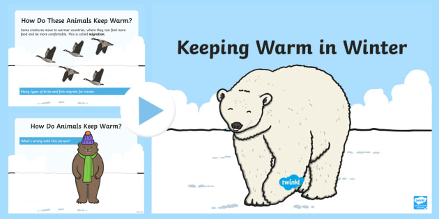 How Animals Keep Warm in the Winter PowerPoint - winter