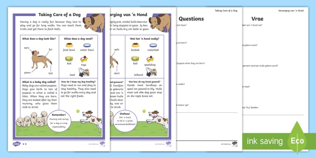 How To Look After a Dog Differentiated Reading Comprehension Activity