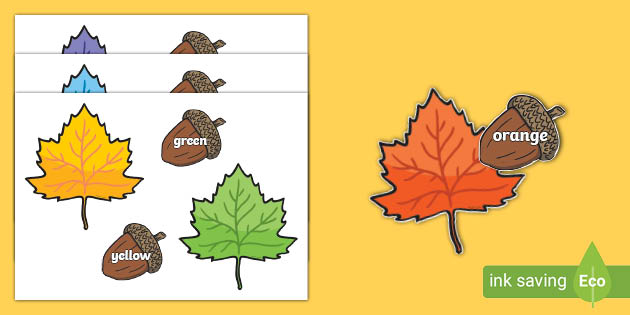 Autumn Acorn and Leaf Matching Activity (teacher made)