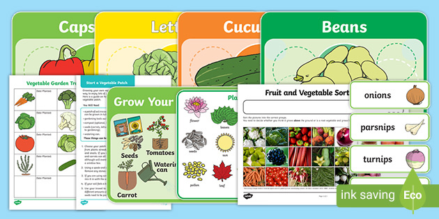 Growing Vegetables Resource Pack - EYLF - The Environment
