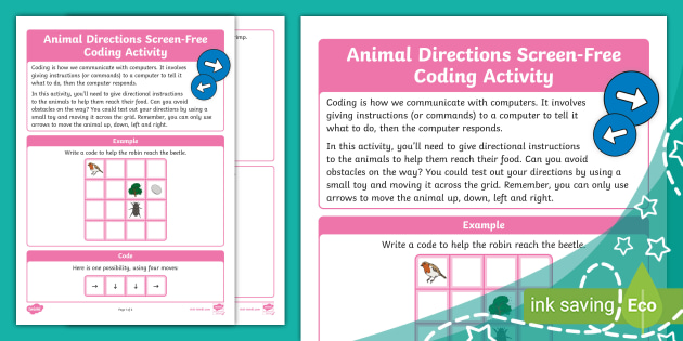 Animal Directions Screen-Free Coding Activity (teacher made)
