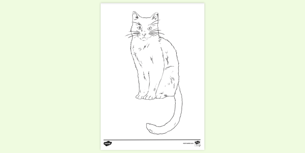 Scary Halloween Cat Colouring Page | Colouring Sheets