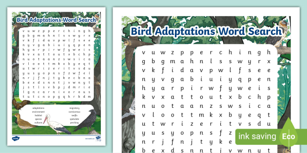 Bird Adaptations Word Search (teacher made)