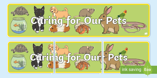 Caring for Our Pets Display Banner (teacher made)
