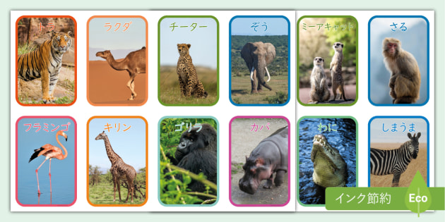 Zoo animals photo flashcards Japanese (teacher made)