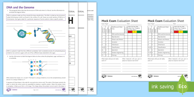 Biology Paper 2 Revision: Unit 6 Inheritance, Variation & Evolution Key ...