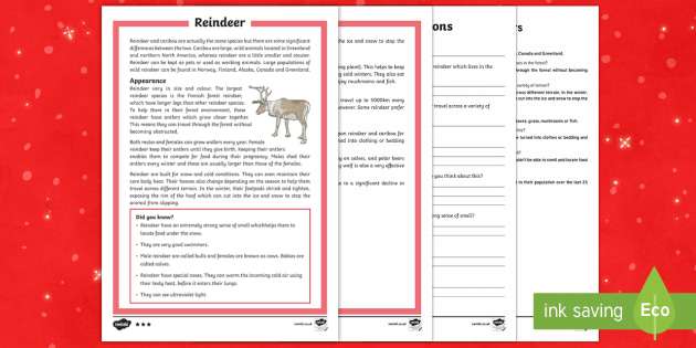 Reindeer Differentiated Reading Comprehension Activity - Christmas ...