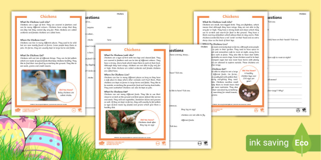 KS1 Chickens Differentiated Reading Comprehension Activity