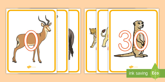 Numbers 0-30 on Safari Animals (teacher made)