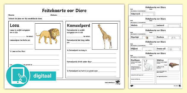 Diere Feitekaarte Digitale Skryfaktiwiteit