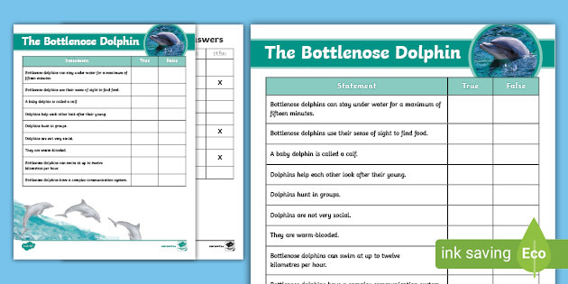 Bottlenose Dolphin True or False Activity