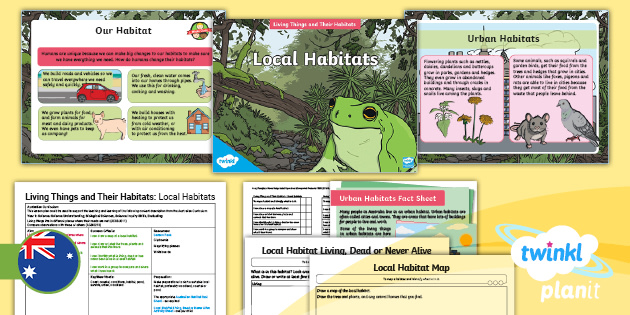 Year 1 Science Living Things and Their Habitats Lesson 2