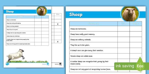 Sheep True or False Activity - Grades 4-6 - Twinkl Canada