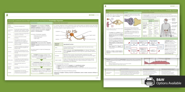 Combined Science Homeostasis and Response KnowledgeOrganiser