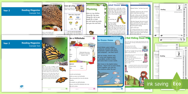 Year 2 Pre NAPLAN Reading Test Resource Pack (teacher made)
