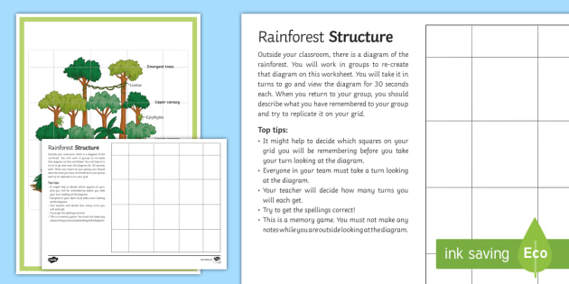 Rainforest Structure Memory Game Activity Pack