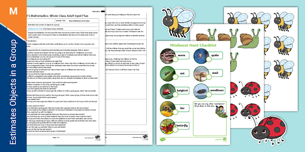 Minibeasts Lesson Plans | twinkl.ca