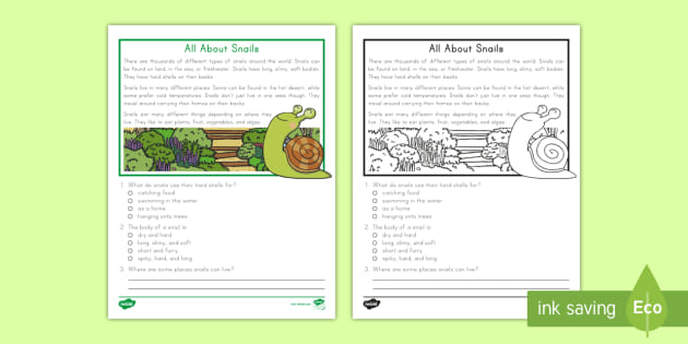 Second Grade All About Snails Reading Passage Comprehension Activity