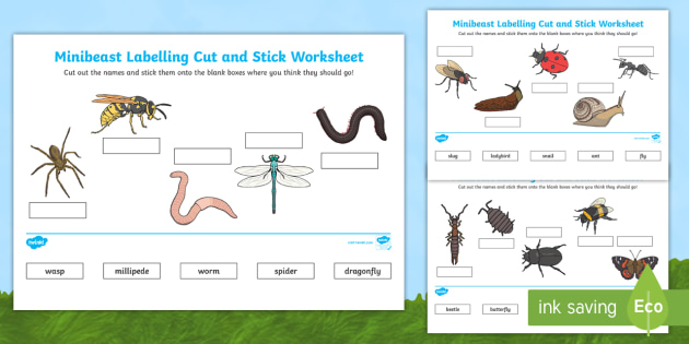 Minibeasts Scene Labelling Cut and Stick Worksheet - minibeast
