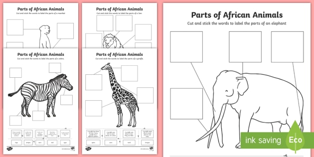 Parts of African Animals Cut and Paste Worksheet / Worksheets - Parts of