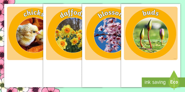 Spring Aistear Display Photo Cut-Outs (teacher made)