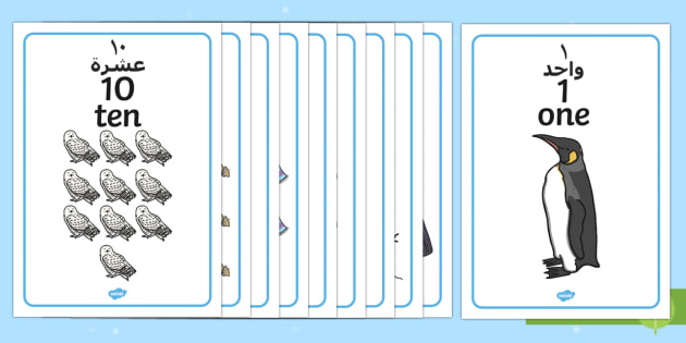 Winter Themed Number Posters With Words and Numbers (1-10) Arabic/English