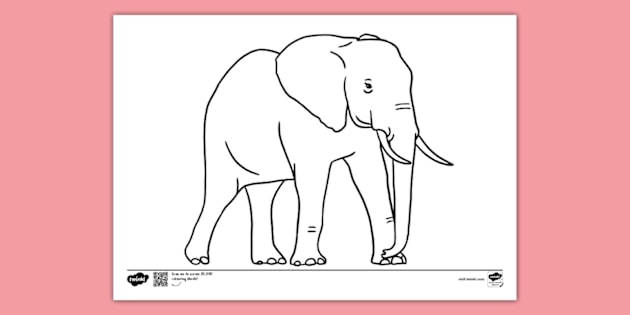 Elephants Art Activities | twinkl.co.uk