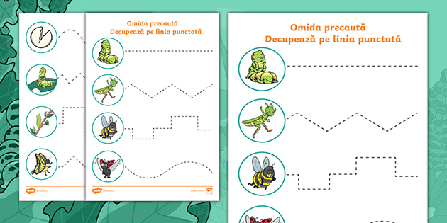 Omida precaută - Activitate de decupare (teacher made)