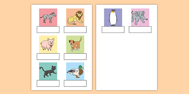 👉 Cute Animals Editable Self Registration Labels Signs and Labels