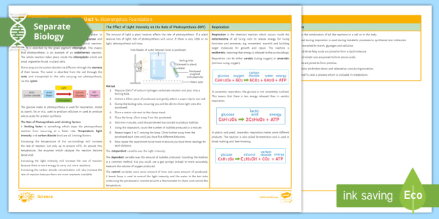 Bioenergetics Biology Revision Guide | AQA Biology | Beyond