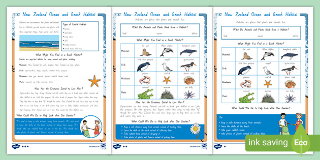New Zealand Ocean and Beach Habitat Reading Comprehension