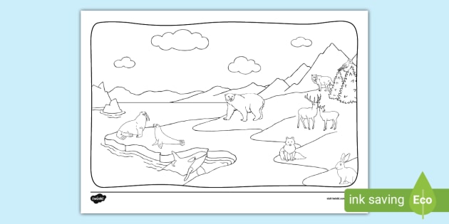 arctic colouring pictures