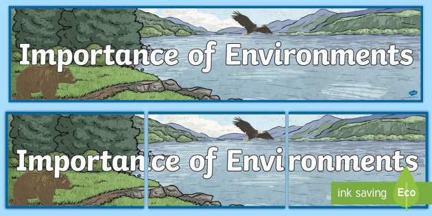 Year 4 AC Geography Environments Display Banner