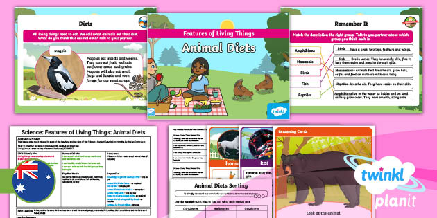 Year 1 Science Features Living Things Lesson 3 Animal Diet